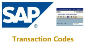SAP Transaction Codes: A Basic Guide - Hyper Leap